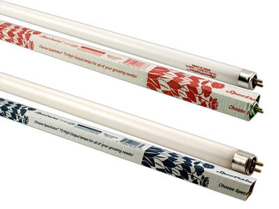 Spectralux T5 HO Lamp - Blue 6500K - Grow - Available in 2FT - 24W ...