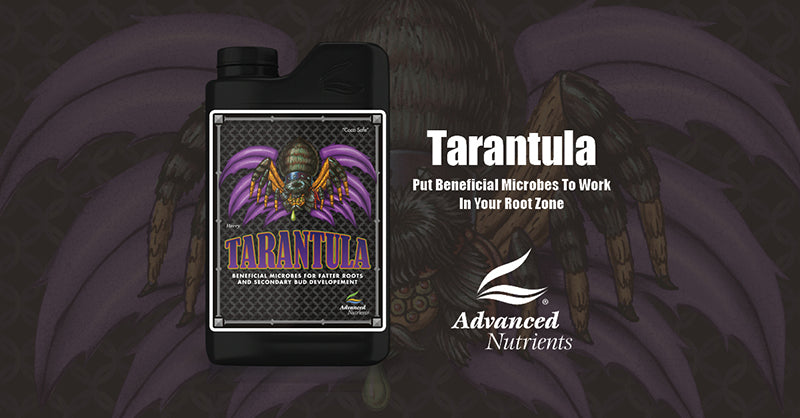 Advanced TARANTULA Liquid – Sunset Hydroponics and Home Brewing