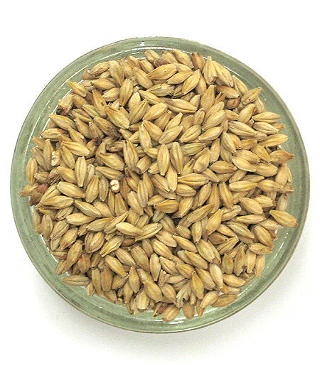 Avangard - Pale Malt – Sunset Hydroponics and Home Brewing